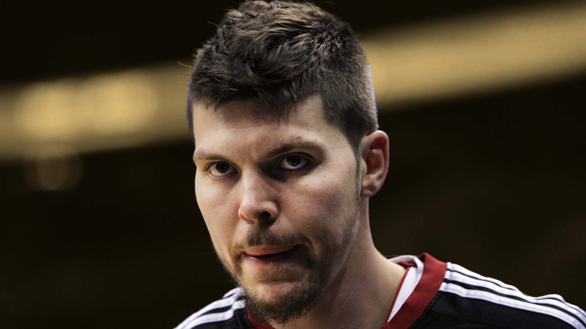 Mike Miller’s unforgettable story of his monkey riding his Great Dane ...