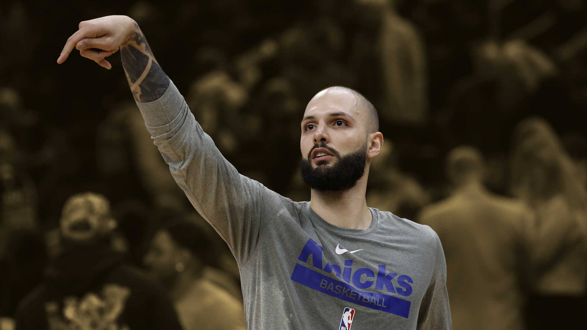 Evan Fournier Hair