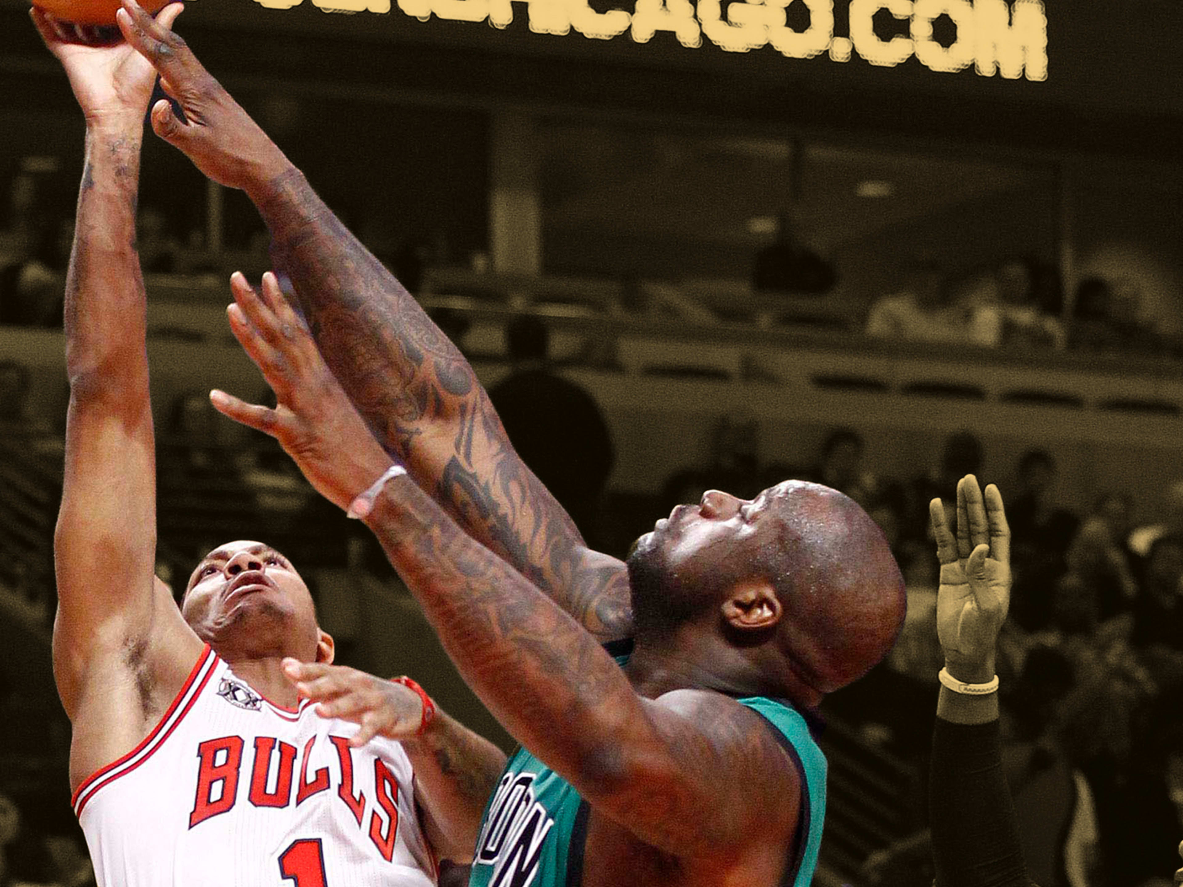 Derrick Rose - Basketball Network