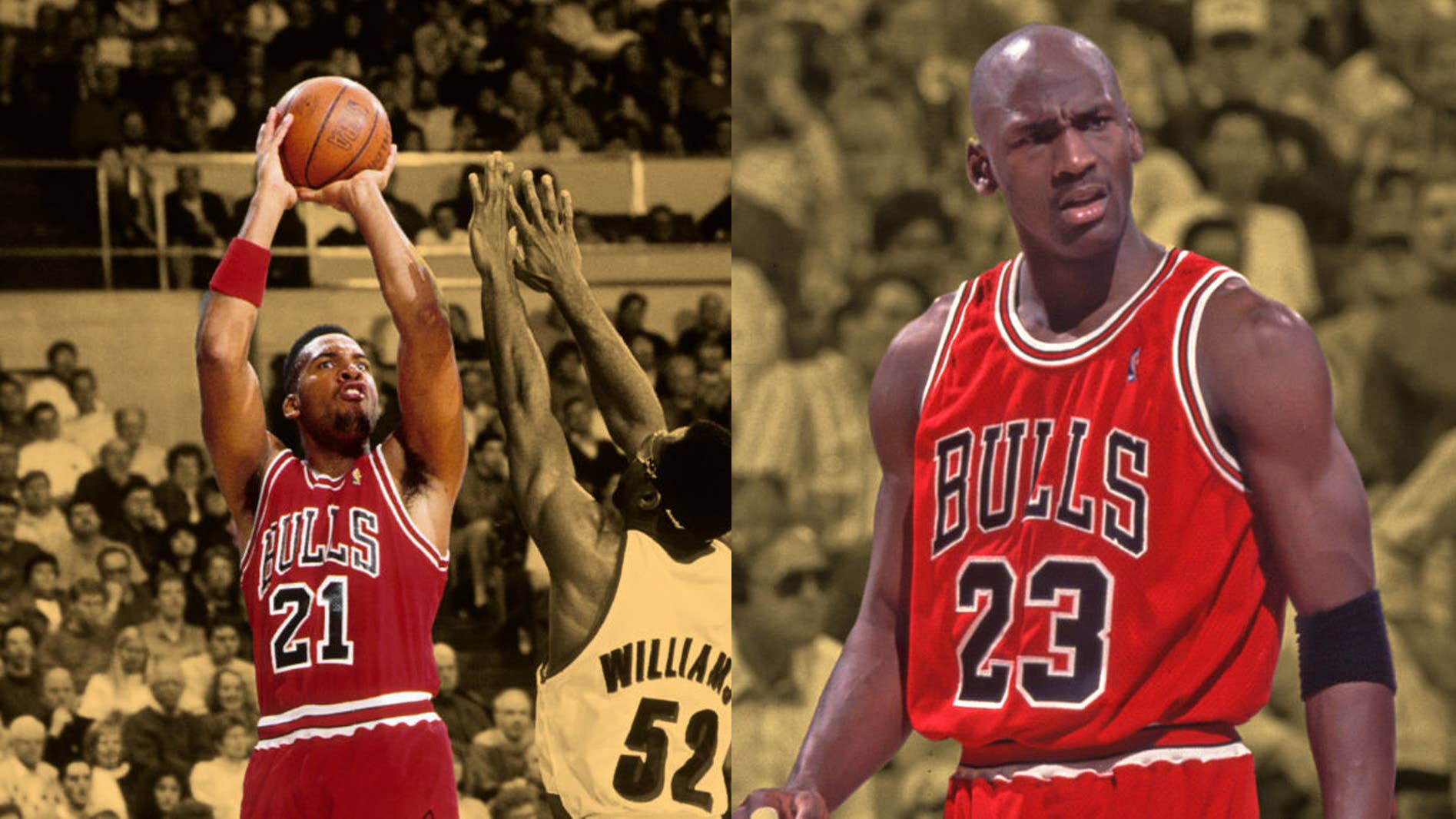 Stacey King - Basketball Network
