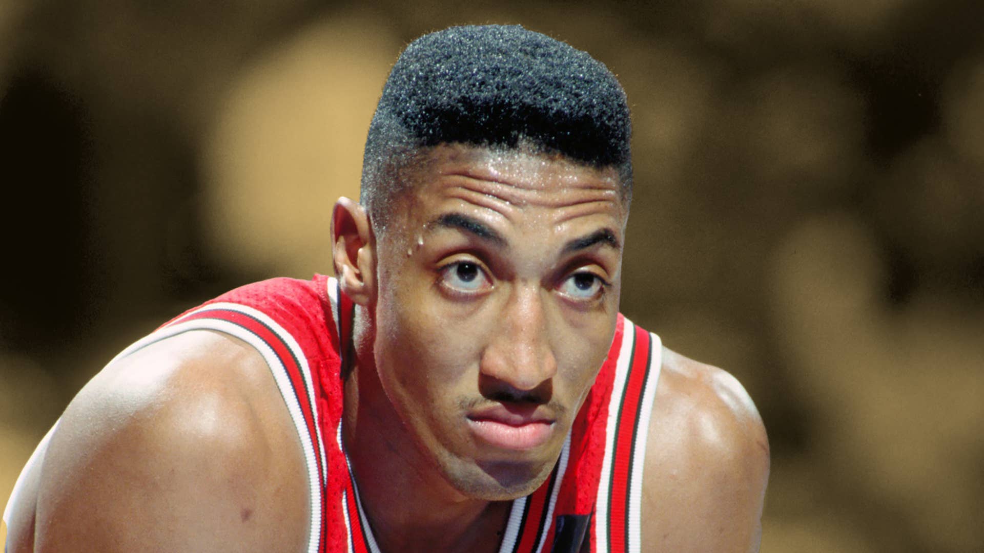 Scottie Pippen - Basketball Network